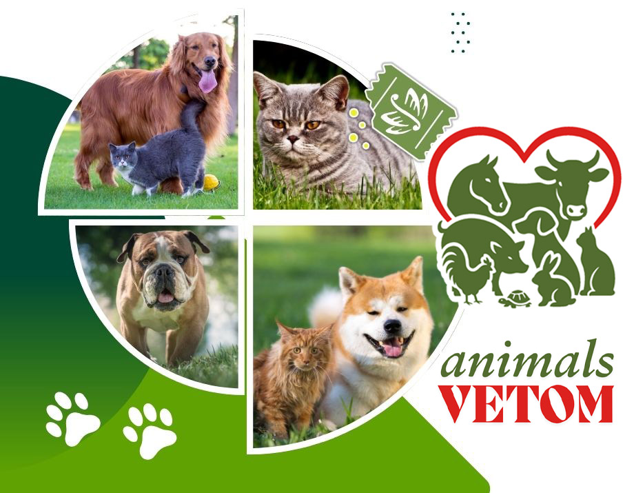 Animals Vetom Probiotics Hungary Distributor | Kezdőlap